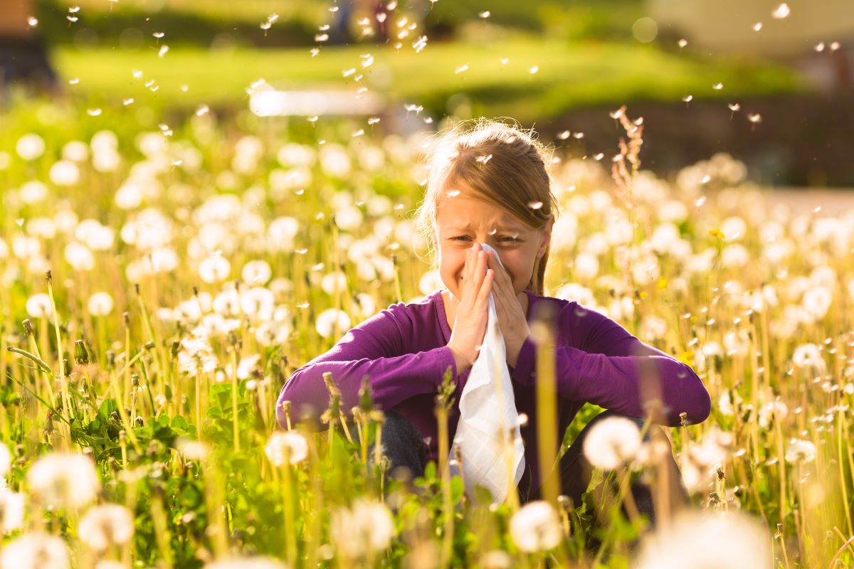 What is an allergy? - Allergy & Anaphylaxis Australia